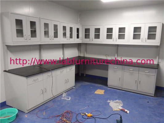Good Profesional Designing And Drawing Modular  Steel  Lab  Benches Fume Hoods Fitting For  Chemical Laboratory supplier