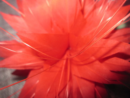 Red Cock Tail Feather Flower Fascinator For Occassion Place , Wedding Hair Pieces