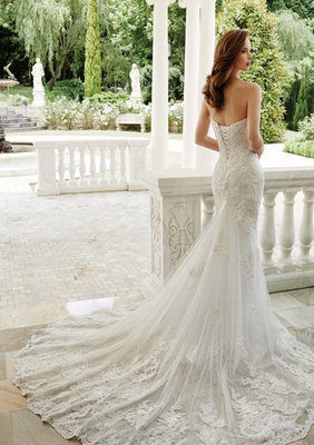 Professional Fit And Flare Bridal Gowns / Appliqued Lace Fit And Flare Wedding Dress