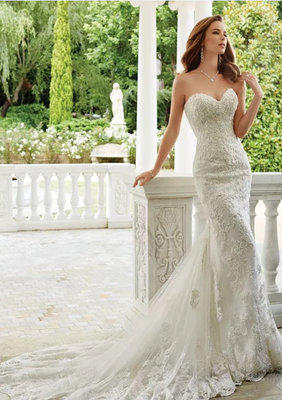 Professional Fit And Flare Bridal Gowns / Appliqued Lace Fit And Flare Wedding Dress