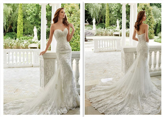 Professional Fit And Flare Bridal Gowns / Appliqued Lace Fit And Flare Wedding Dress