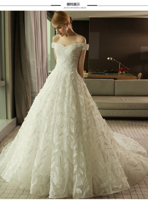Shoulder Length Trailing Court Wedding Clothes For Women , Fashion Feather V Collar