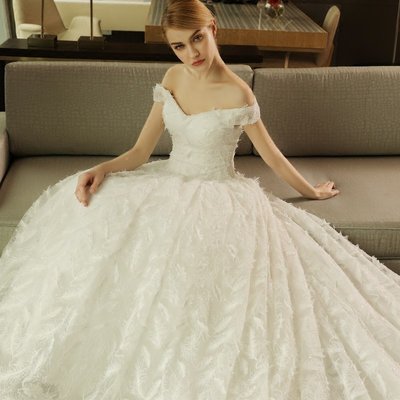 Shoulder Length Trailing Court Wedding Clothes For Women , Fashion Feather V Collar