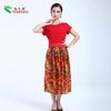 Chinese Colorful Long Summer Dresses , Neck Waist Printed Cotton Long Frocks For Womens