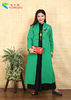 Chinese Traditional Costume Female Hanfu Long Embroidered Coat Concise And Easy