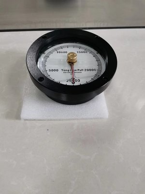 torque system for manual tongs