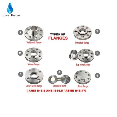 Stainless/Carbon Steel RTJ FF RF Bland Flange /Forged Blind Flange supplier