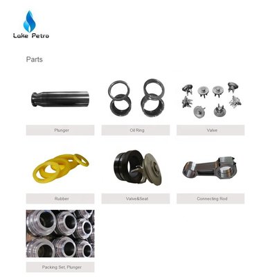 Valve/seat/ seal/ring/clamp/ cap/bushing/ insert for tws600 plunger pump supplier