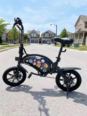 Folding Electric Bike