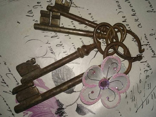 Metal Personalized Key Holder , Antique Style Small Key Chain Rings