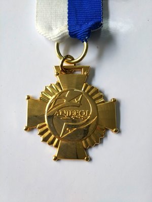 Metal Award Medal With Ribbon Cross And Light Type Customized 2D / 3D