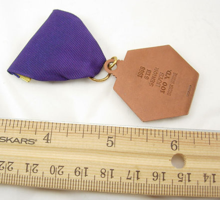 Custom Award Medal With Blue Ribbon Hard Enamel For The CICCA 3D Embossed Logo