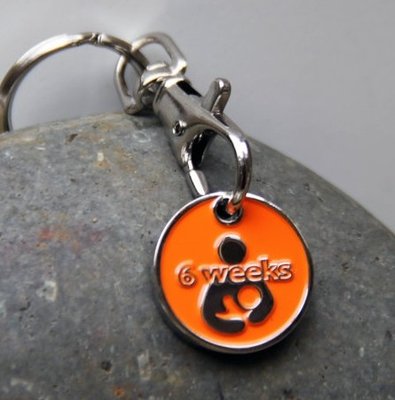 Metal Personalised Trolley Coin Keyring , Promotional Shopping Cart Token Key Chains