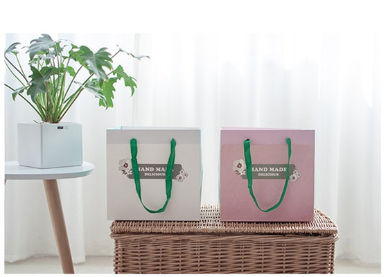 Luxury CYMK Retail Custom Printed Shopping Bags With Flexiloop Handle