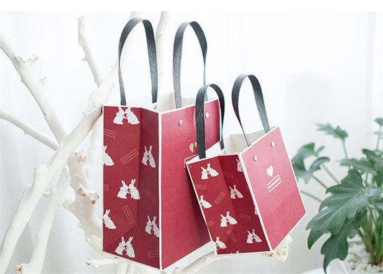 Luxury CYMK Retail Custom Printed Shopping Bags With Flexiloop Handle