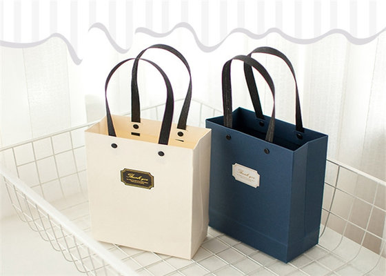 Colorful Printing Custom Paper Shopping Bags , Promotional Clothes Paper Gift Bag
