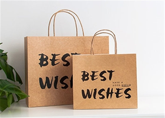 Popular Beautiful Eco Printed Custom Paper Shopping Bags Nordic Style