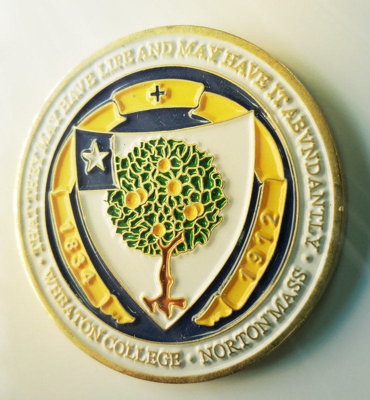 Gold Plating Custom Army Challenge Coins / Law Enforcement Challenge Coins No Minimum