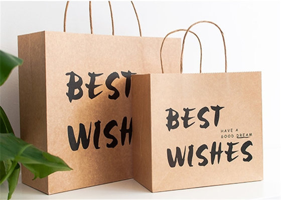 Popular Beautiful Eco Printed Custom Paper Shopping Bags Nordic Style
