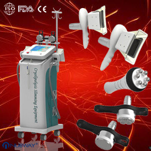 Fat Freezing fat removal weight loss cryolipolysis slimming machine skin cosmetics clinics
