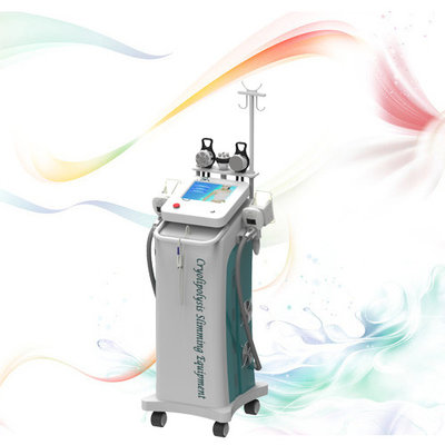 Fat Freezing fat removal weight loss cryolipolysis slimming machine skin cosmetics clinics
