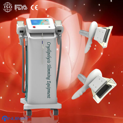 Cryolipolysis slimming machine body slimming Cryotherapy weight removal fat loss skincare