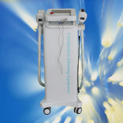 Cryolipolysis slimming machine body slimming Cryotherapy weight removal fat loss skincare