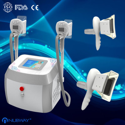 cryolipolysis slimming machine Fat Freezing weight loss portable 2 handles weight loss