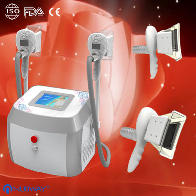 Fat Freezing weight loss portable 2 handles cryolipolysis slimming machine weight loss