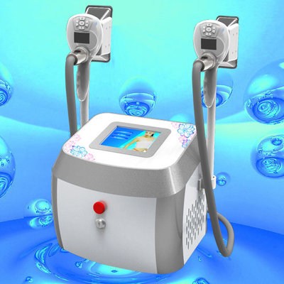 cryolipolysis slimming machine Fat Freezing weight loss portable 2 handles weight loss