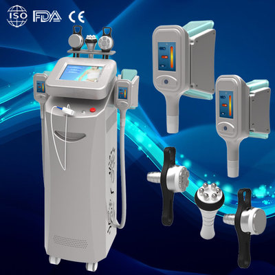 Newest design weight loss fat freezing lowest price cryolipolysis machine clinic salons