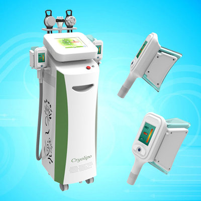 Latest high quality fat freeze profestional cryolipolysis slimming machine fat loss