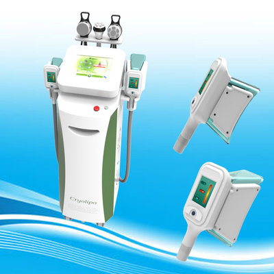 Latest high quality fat freeze profestional cryolipolysis slimming machine fat loss