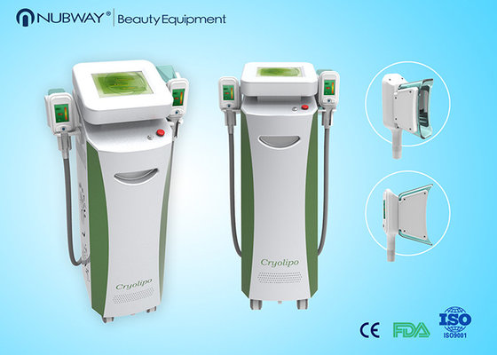 Cryolipolysis fat reduction machine for salom,spa and clinic with perfect treatmetn effect