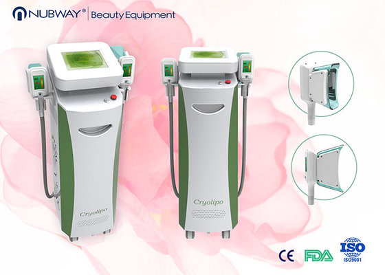 Cryolipolysis removal machine with CE Certificate and amazing treatment effect