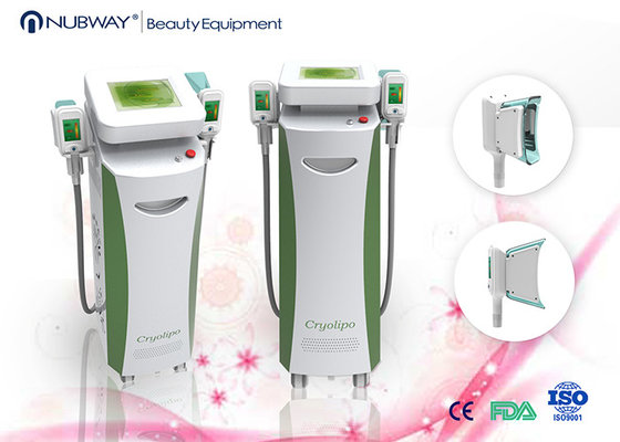 Cryolipolysis fat reduction machine for salom,spa and clinic with perfect treatmetn effect