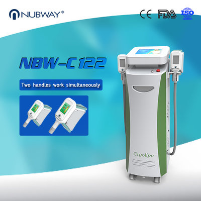 Prtable Cryo fat loss slimming machine 2 handle working at same time with -15 degree