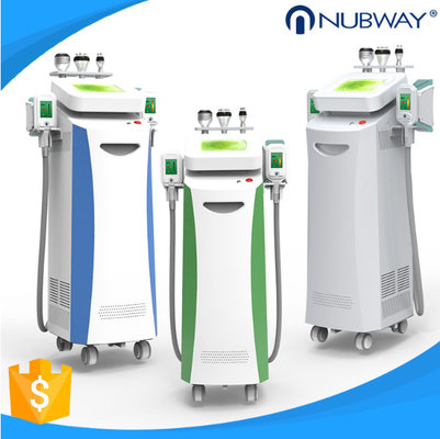 CE/ FDA approved Cool sculpting salon beauty  fat reduction/ fat freezing cryolipolysis weight loss machine