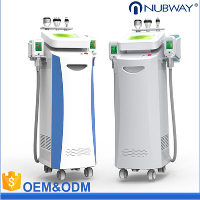 CE/ FDA approved Cool sculpting salon beauty  fat reduction/ fat freezing cryolipolysis weight loss machine