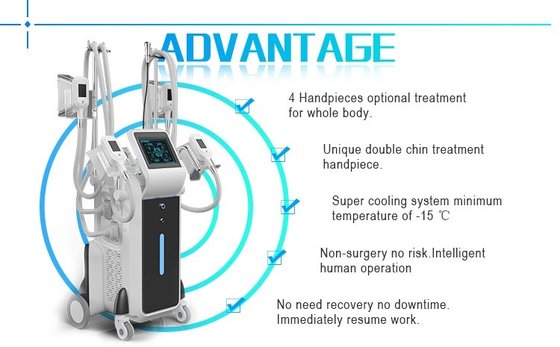 4 handles cryolipolysis weight loss body contouring body slimming cool sculpting weight loss cryoliplysis machine
