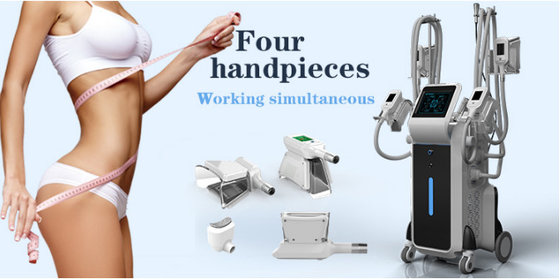 2017 Factory price CE approved 4 cryo handles fat freezing cryolipolysis  cool sculpting weight loss equipment machine