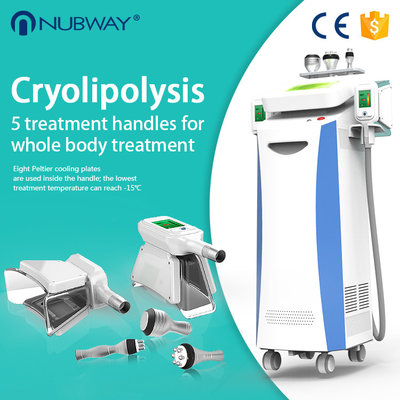 cryolipolyisis slimming/ cryolipolysis fat freezing weight loss/ Cool sculpting  machine