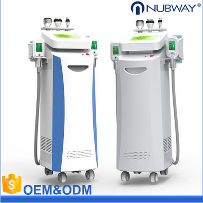 cryolipolyisis slimming/ cryolipolysis fat freezing weight loss/ Cool sculpting  machine