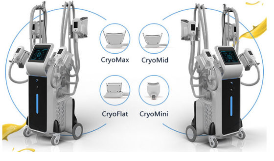 CE Approved Fat freezing weight loss 4 handles cryolipolysis  body slimming machine