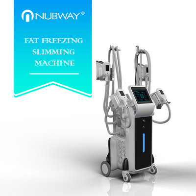 Factory price CE approved 4 cryo handles fat freezing weight loss cryolipolysis cool sculpting  machine