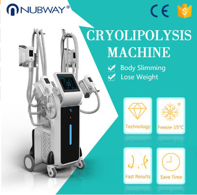 Factory price CE approved 4 cryo handles fat freezing weight loss cryolipolysis cool sculpting  machine