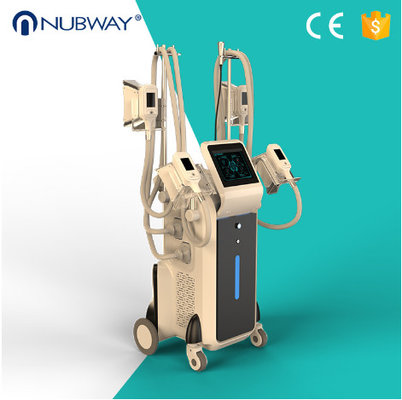 2018 trending products cryolipolysis weight loss machine cryotherapy