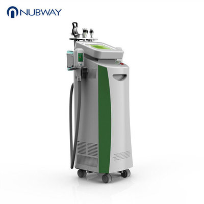 CE/FDA  Cryolipolysis fat freezing RF cavitation machine lowest  tempeature -15oC  for whole body treatment for spa use