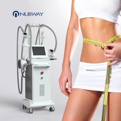 newest 4 handles cellulite massag body slimming lpg endermologie