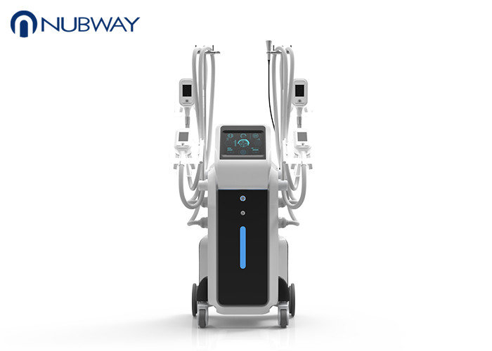 -15oC low degeree 4 handles Factory price body slimming cryoliplysis weight loss machine